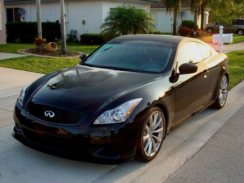 G37 Mesh Grille - MyG37