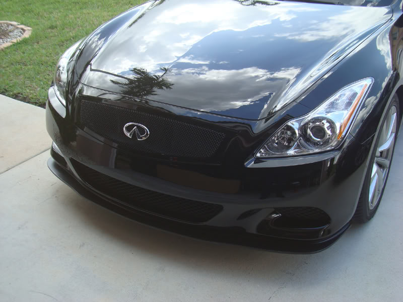 G37 Mesh Grille - MyG37