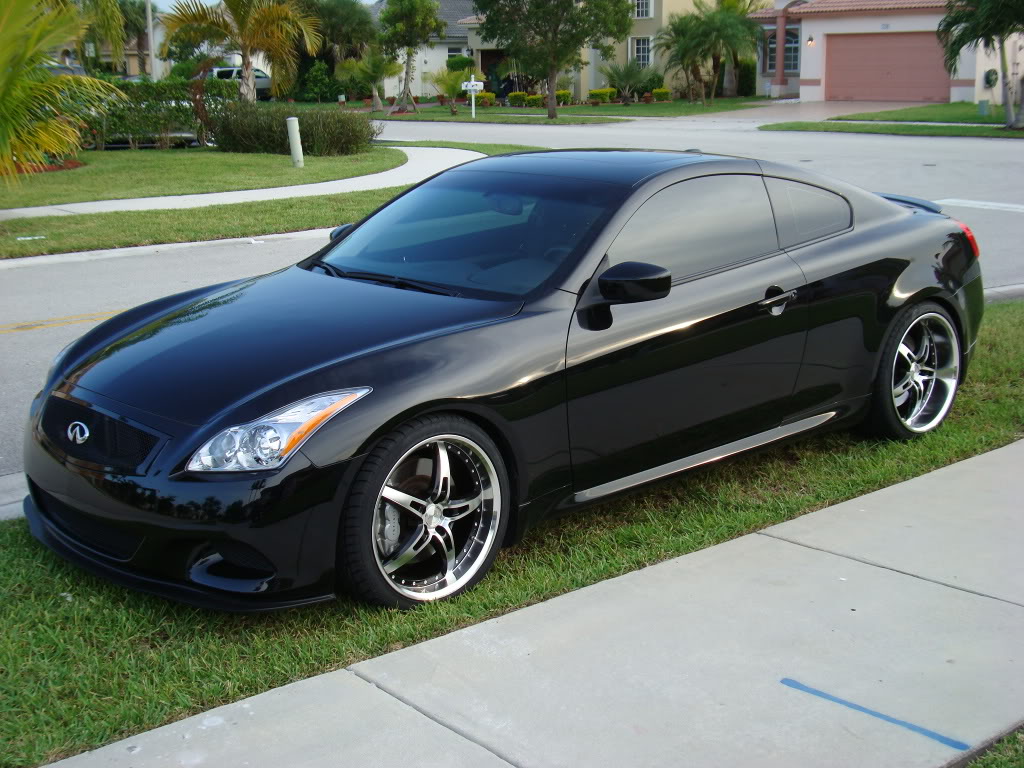 G37 Mesh Grille - MyG37